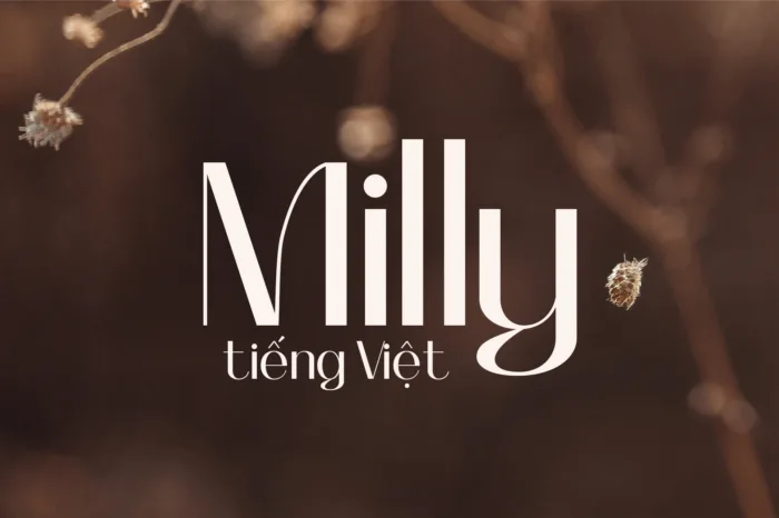DVN Milly - Font tiếng Việt cao cấp dành cho thương hiệu thời trang, mỹ ...